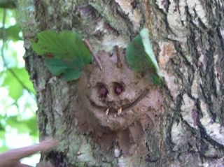 Make a Tree Smile (or Snarl) | Childhood By Nature